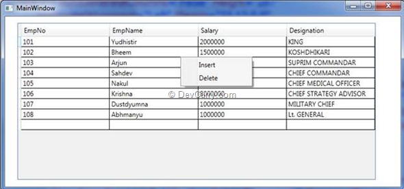 WPF 4: Using DataGrid Context-Menu for Performing Insertion and ...